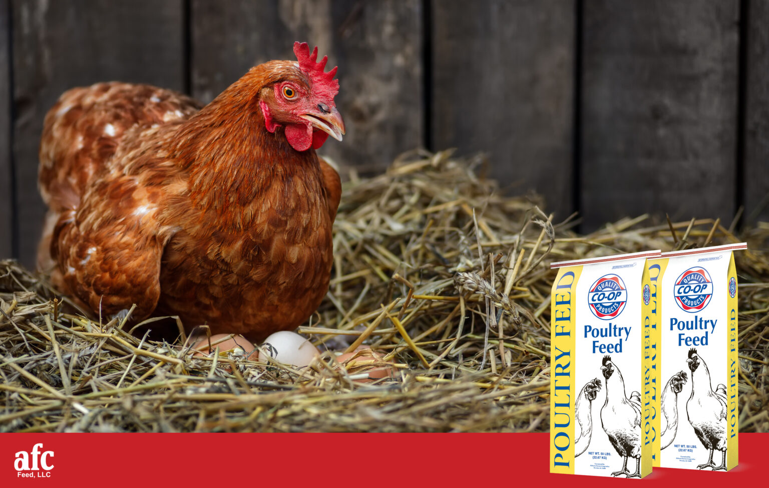 Product Spotlight – AFC Feed, LLC