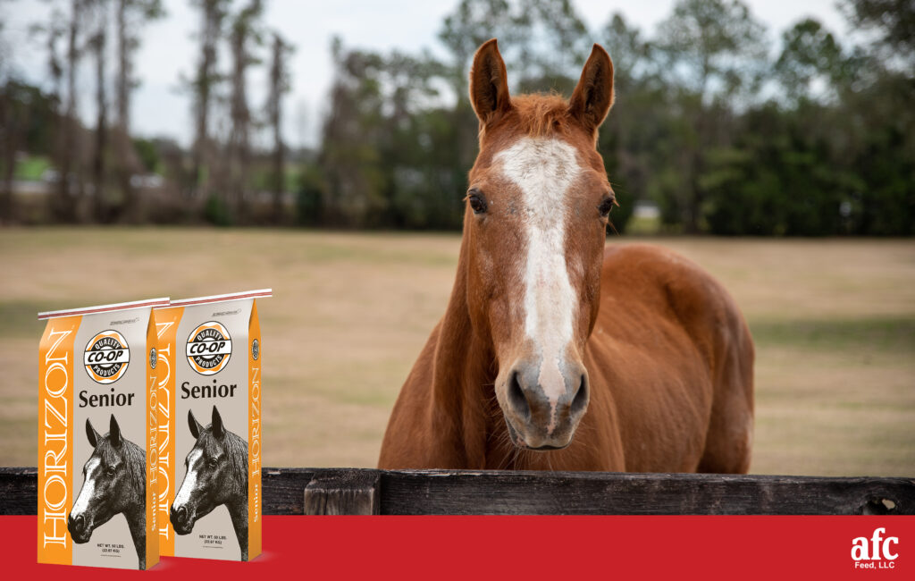 Product Spotlight – AFC Feed, LLC