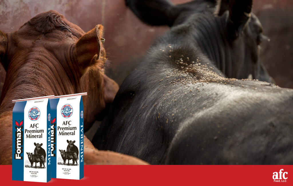 Product Spotlight – AFC Feed, LLC