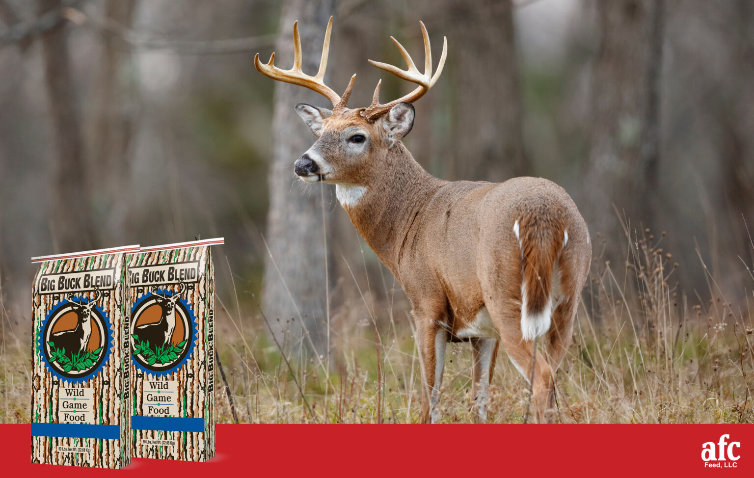 Product Spotlight – AFC Feed, LLC