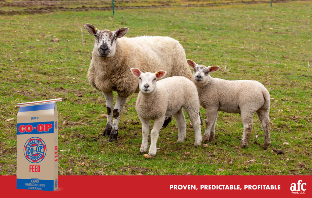 Product Spotlight – AFC Feed, LLC