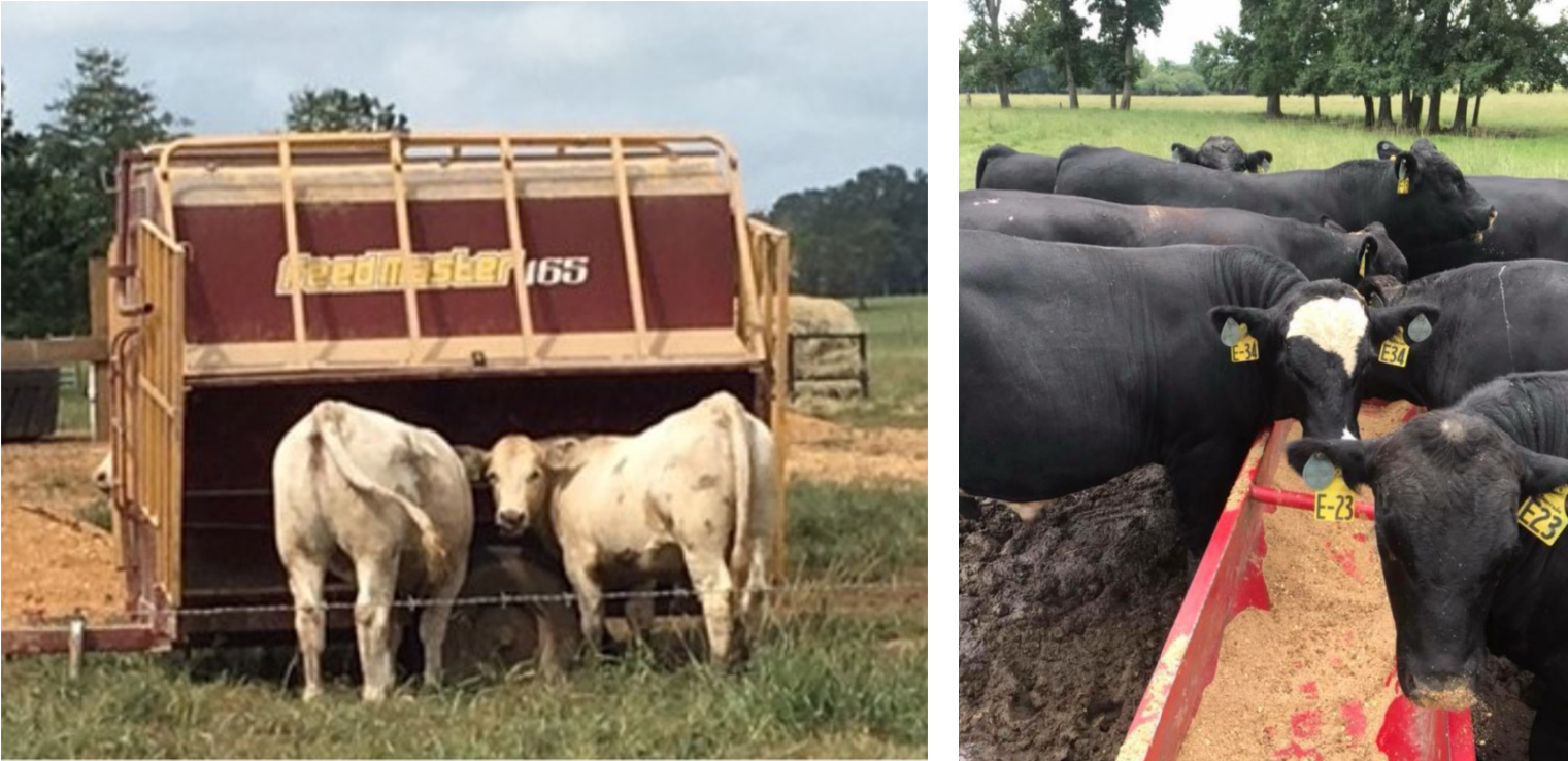 AFC Feed Freezer Beef Protocol – AFC Feed, LLC